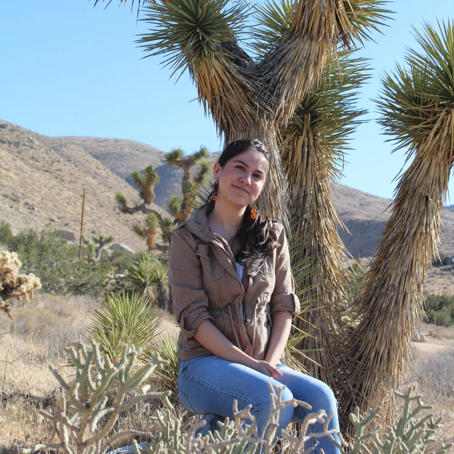 The Wyss Fellows Program-Wyss Foundation