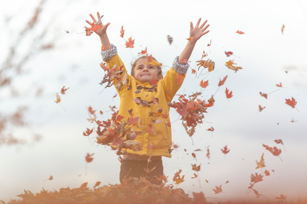 Falling Leaf: A Fall Movement Song For Kids! — Music for Kiddos