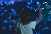 Jellyfish, Jellyfish: A Summer Song for Toddlers and Preschoolers ...