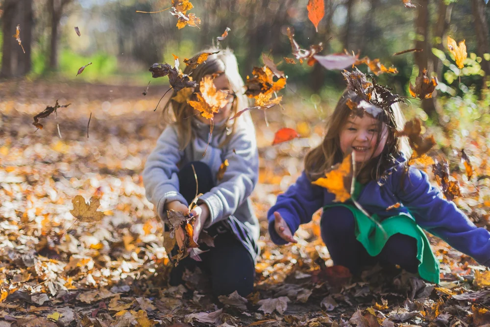 6 Fall Songs and Resources For Early Childhood Music — Music for Kiddos