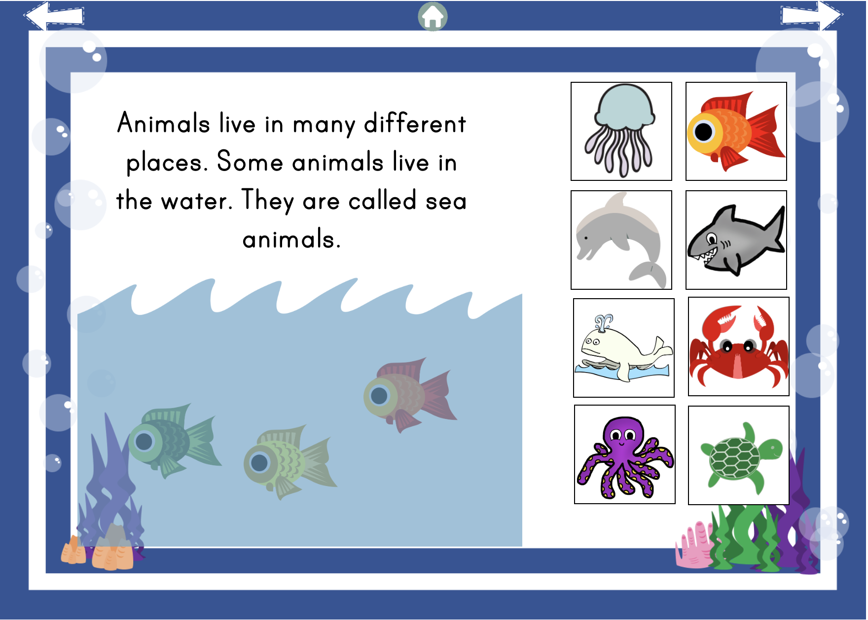 Ocean-themed Music Activities and Ideas for Preschool and Kindergarten ...