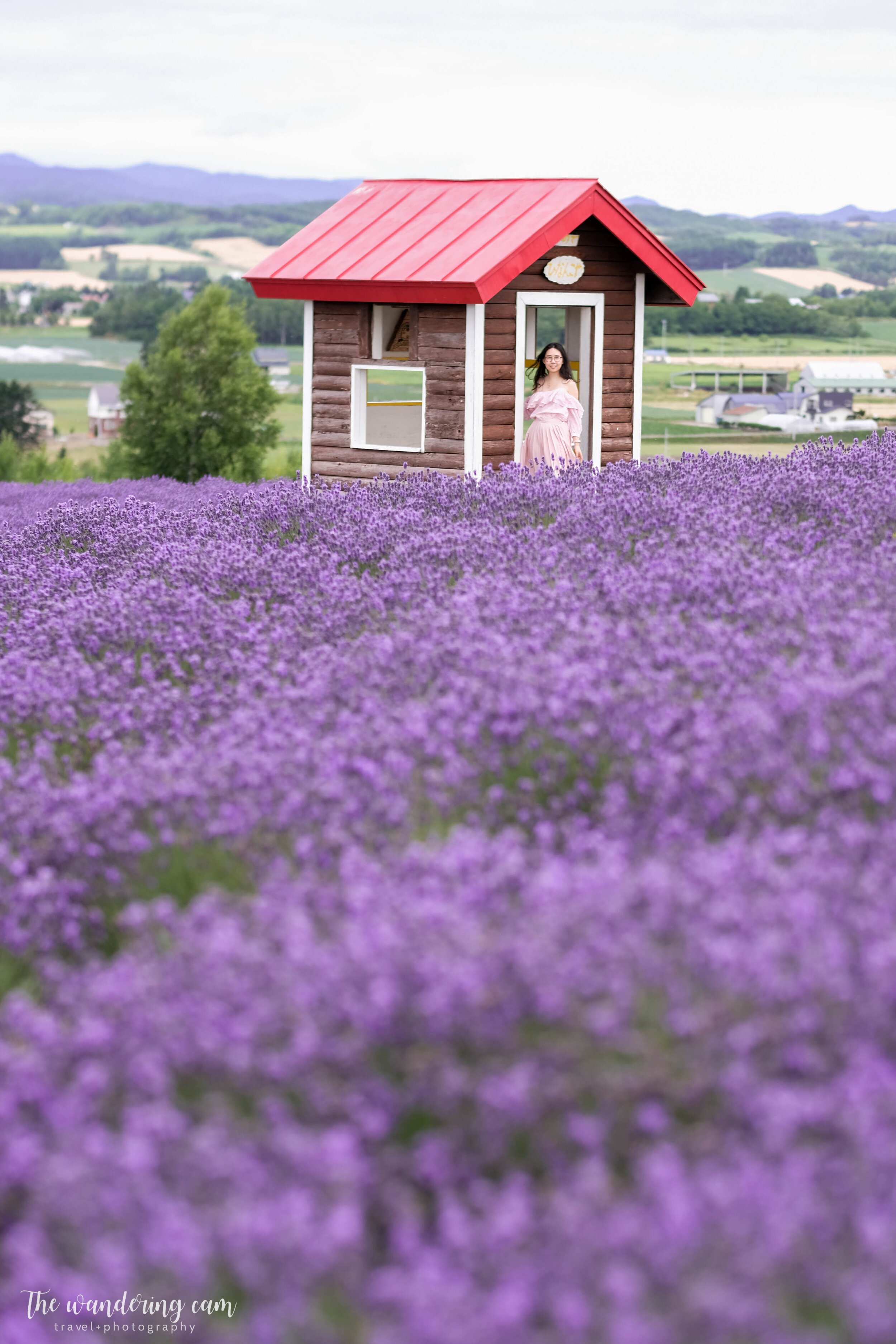 2021 Lavender fields of Furano — the wandering cam