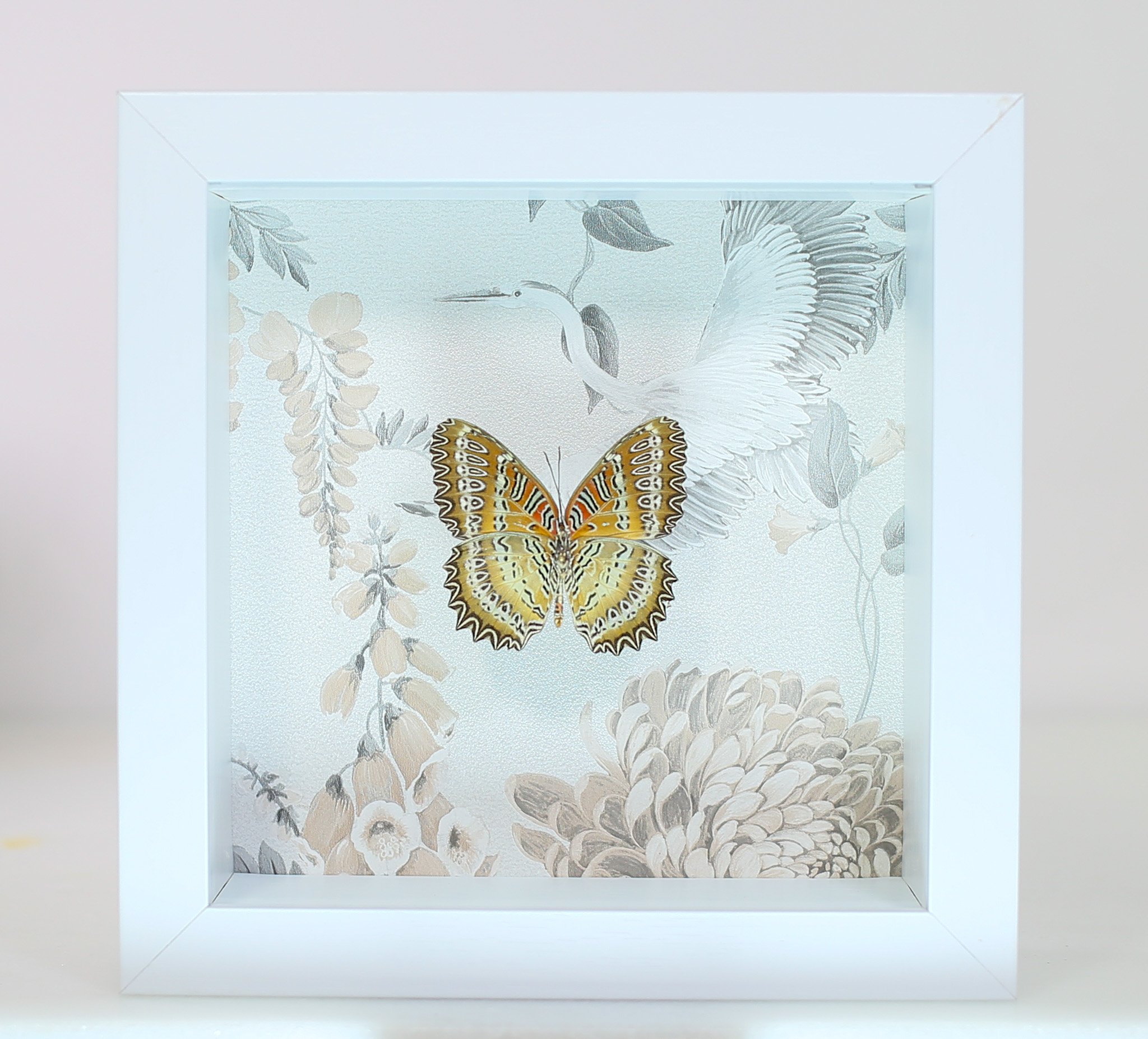 Frames — Bug in the box real framed butterflies and insects