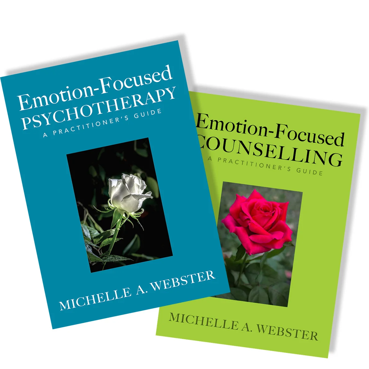 Emotion-Focused Psychotherapy — The Annandale Institute