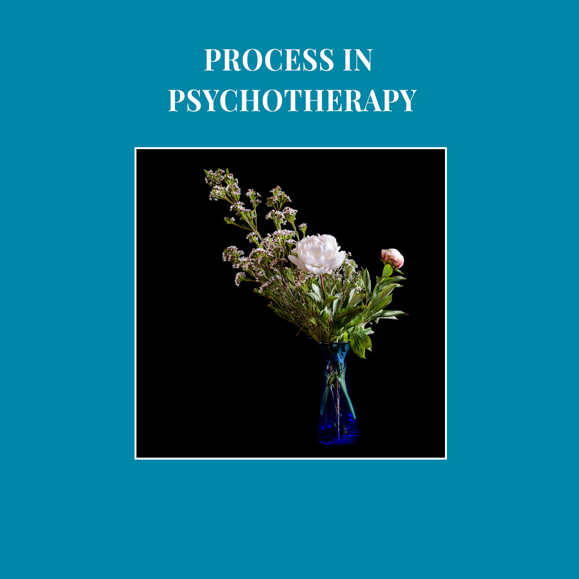 Continuing Professional Development — The Annandale Institute