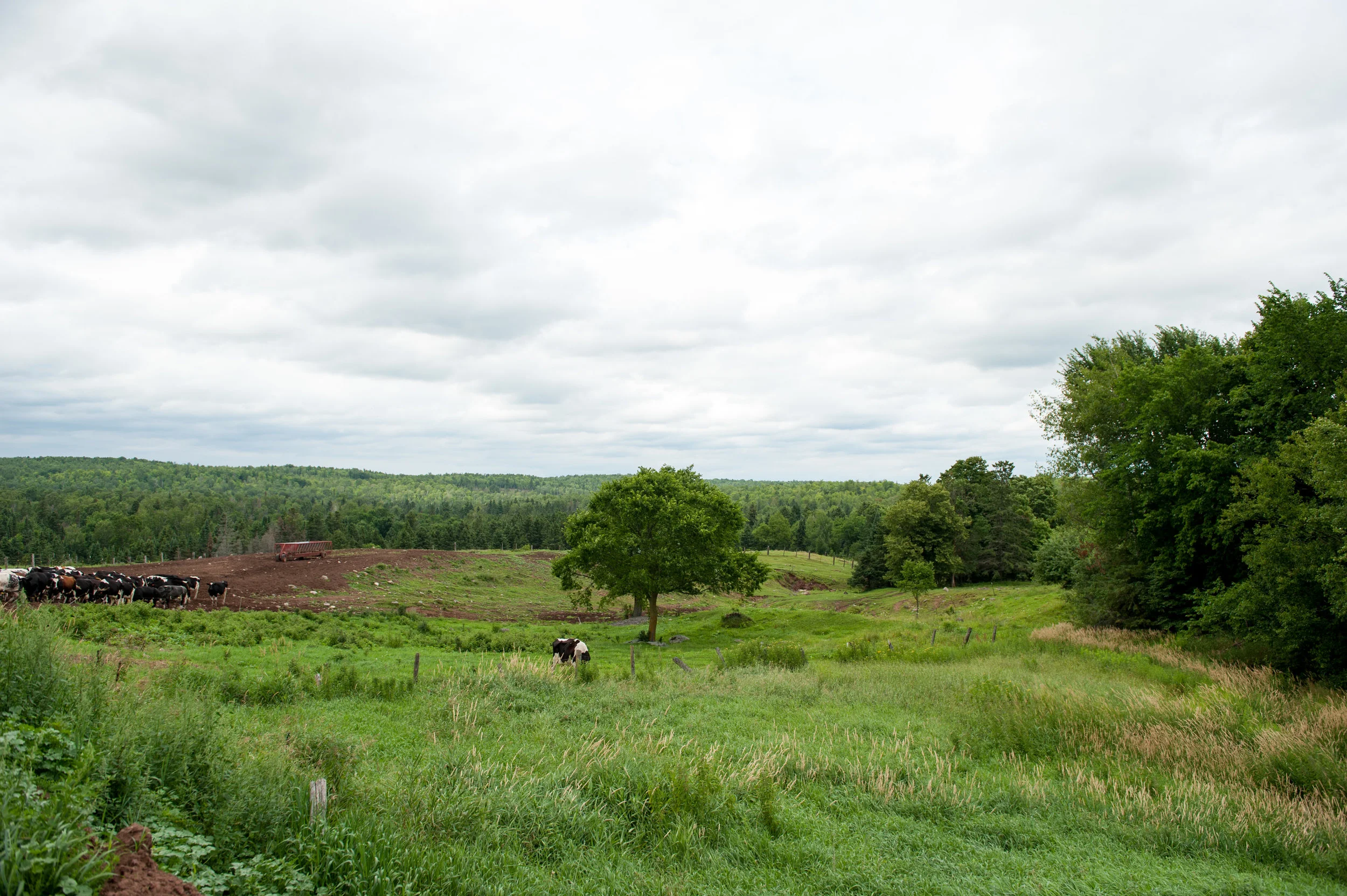 Sustain Rural Wisconsin Network