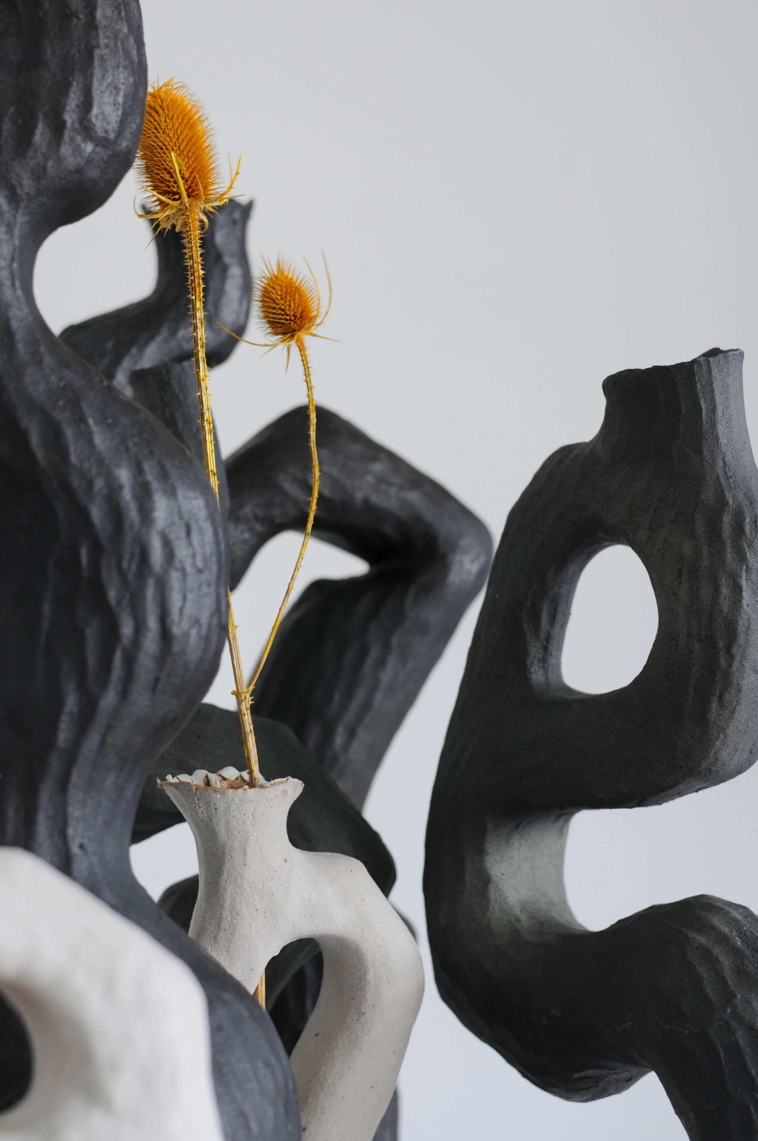 Kerryn Levy Ceramics