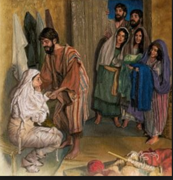 CS Bible Insights