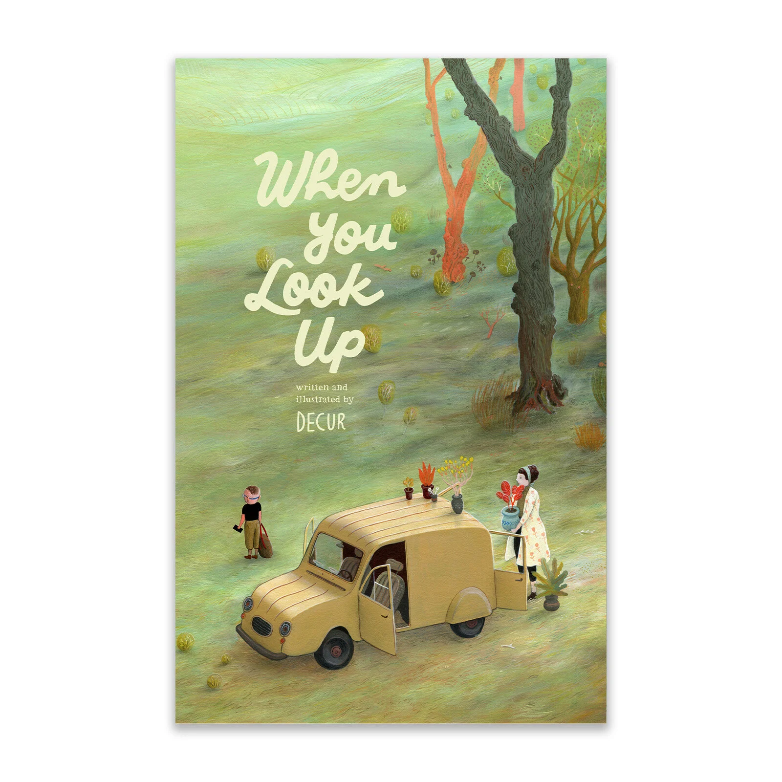 When You Look Up — Enchanted Lion Books