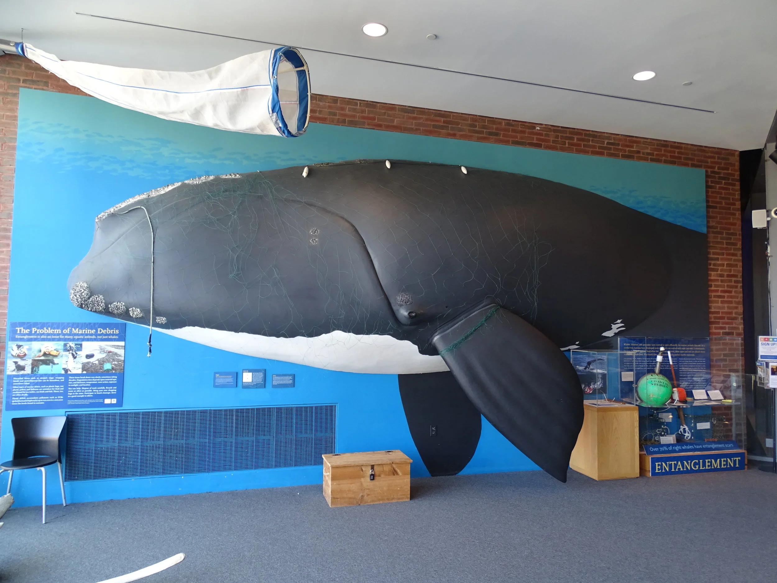 New Bedford Whaling Museum — Coast2CoastWithKids