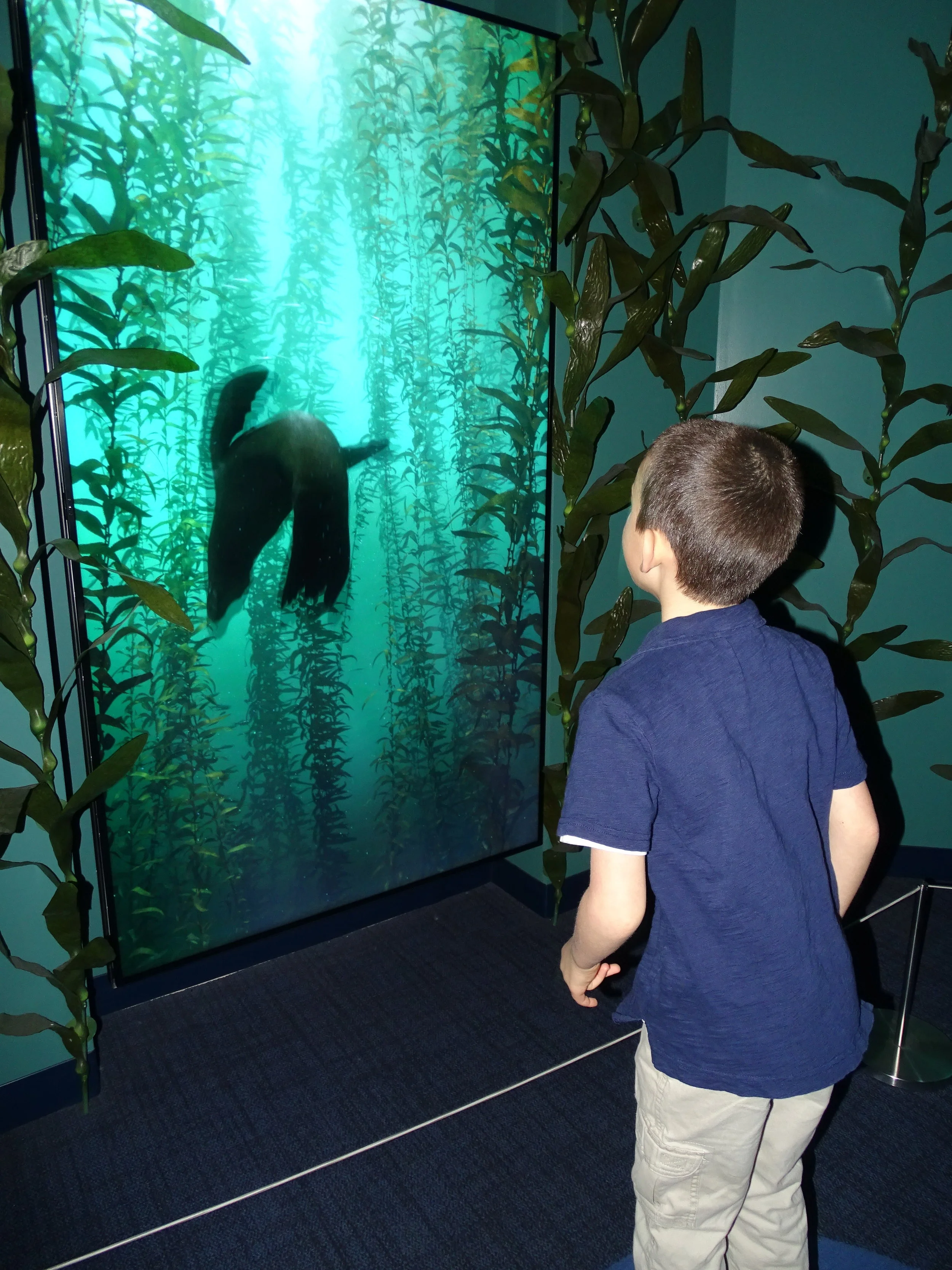 National Geographic Encounter: Ocean Odyssey, New York City ...