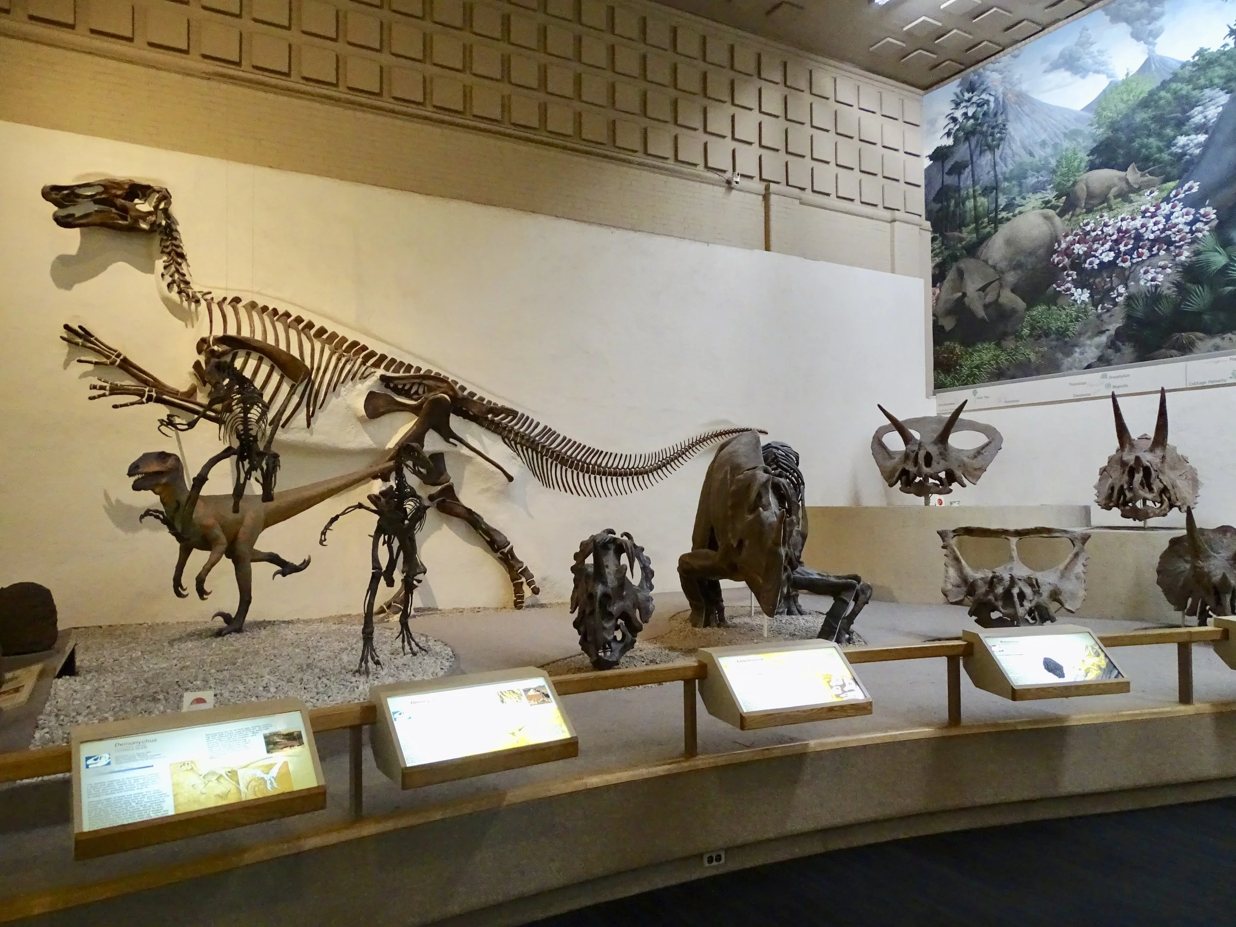 Yale Peabody Museum of Natural History in New Haven, CT ...