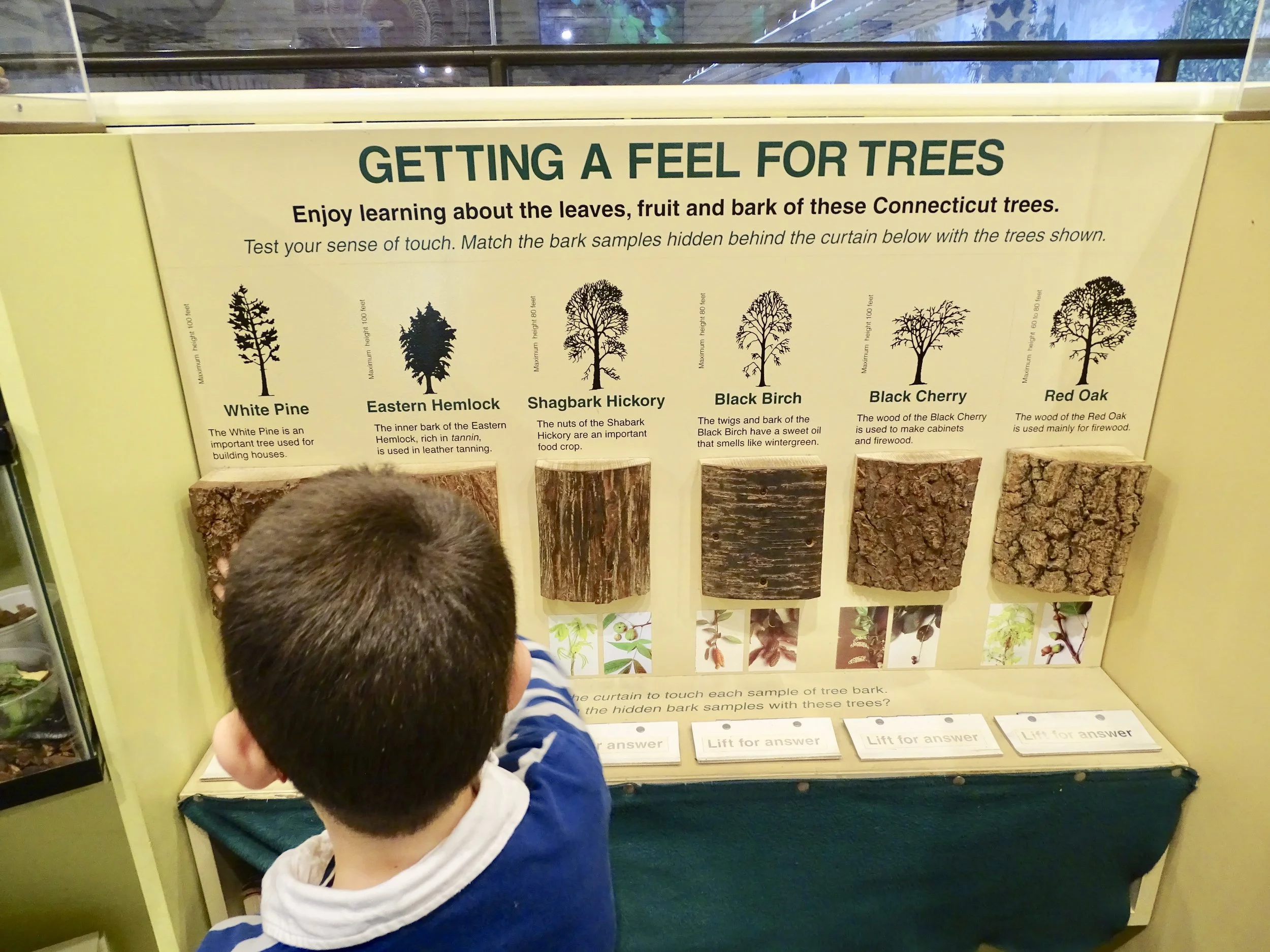 Yale Peabody Museum of Natural History in New Haven, CT ...