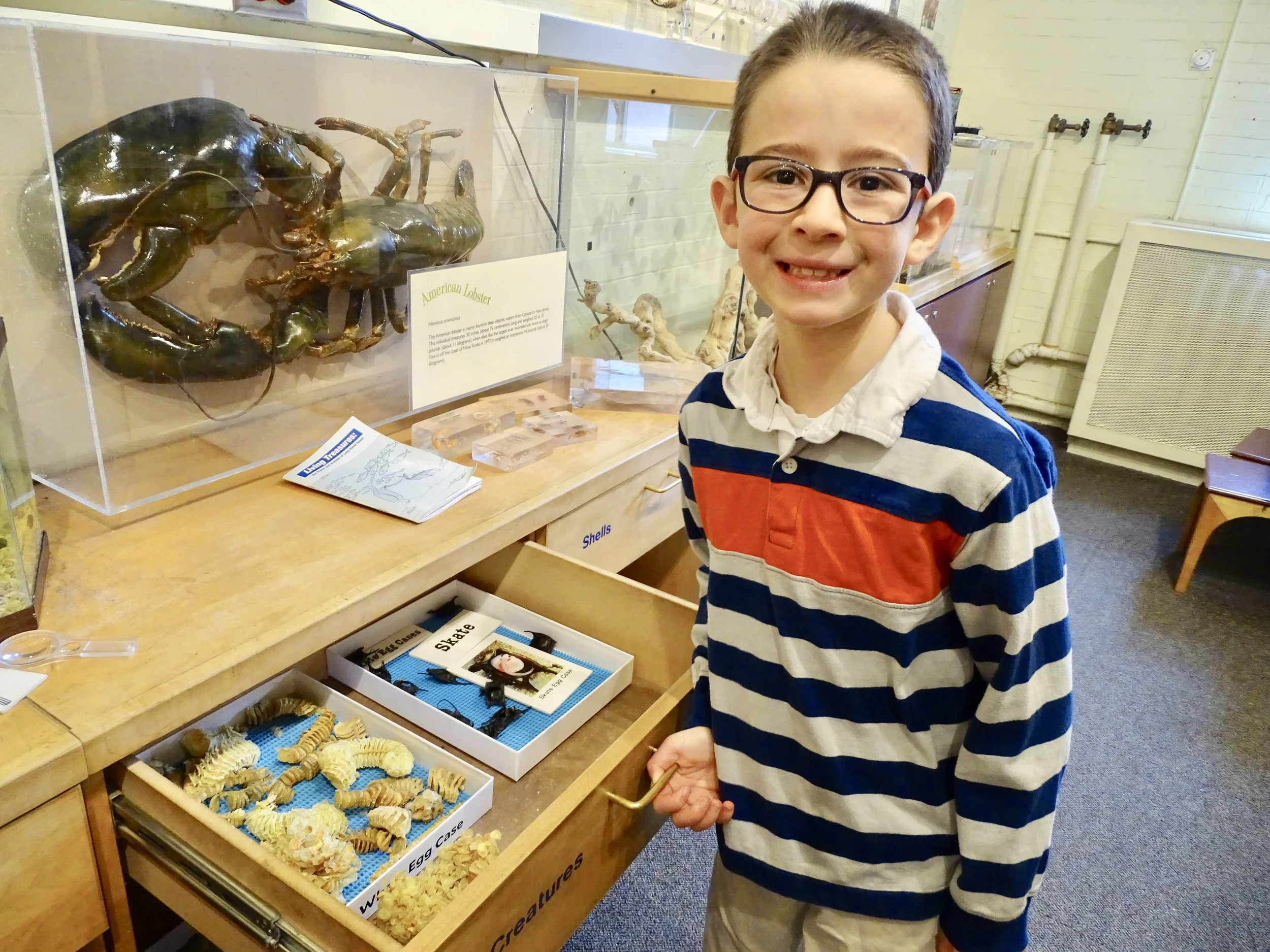 Yale Peabody Museum of Natural History in New Haven, CT ...
