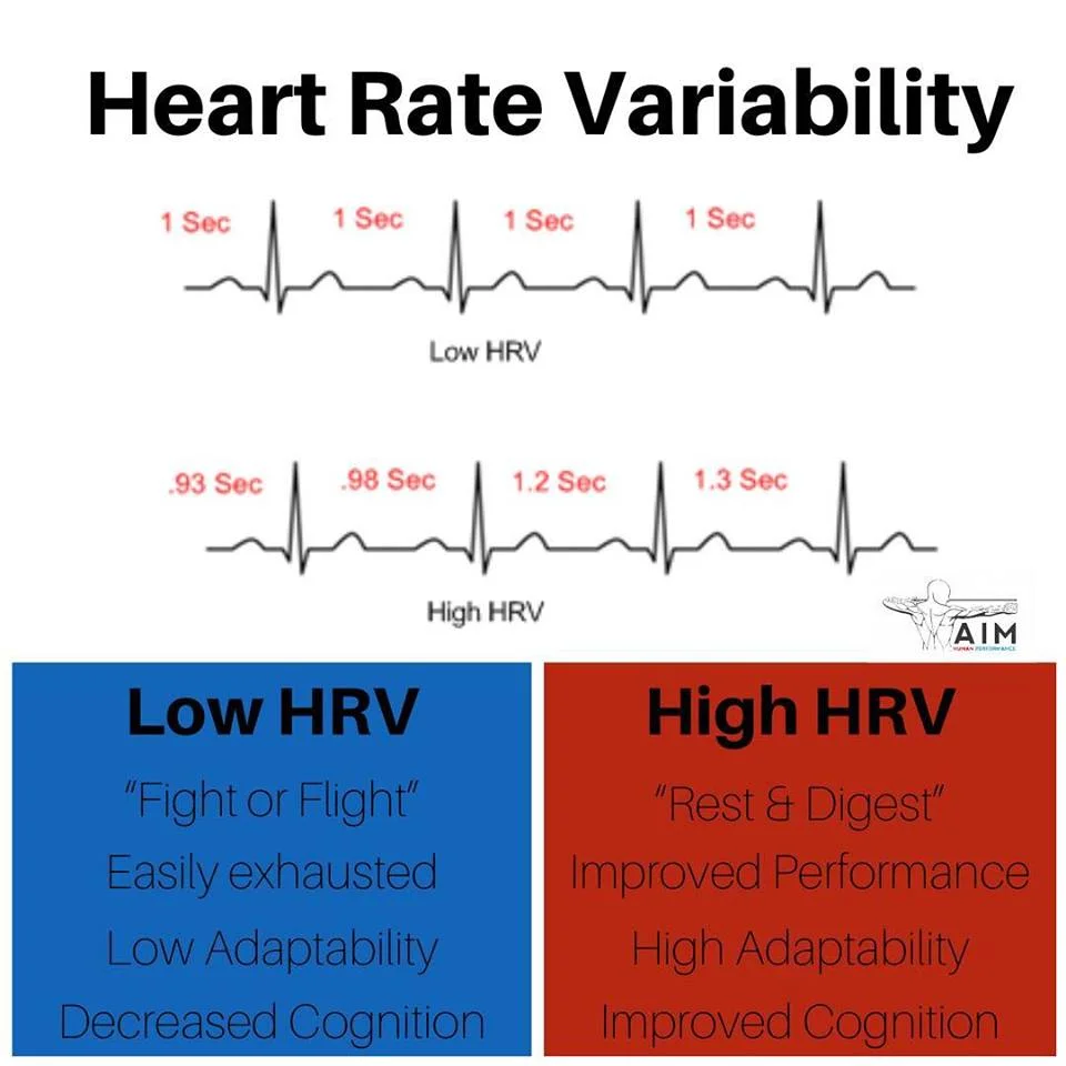 What Is Heart Rate Variability And How Can You Improve It AIM Human What Is Heart Rate Variability And How Can You Improve It AIM Human