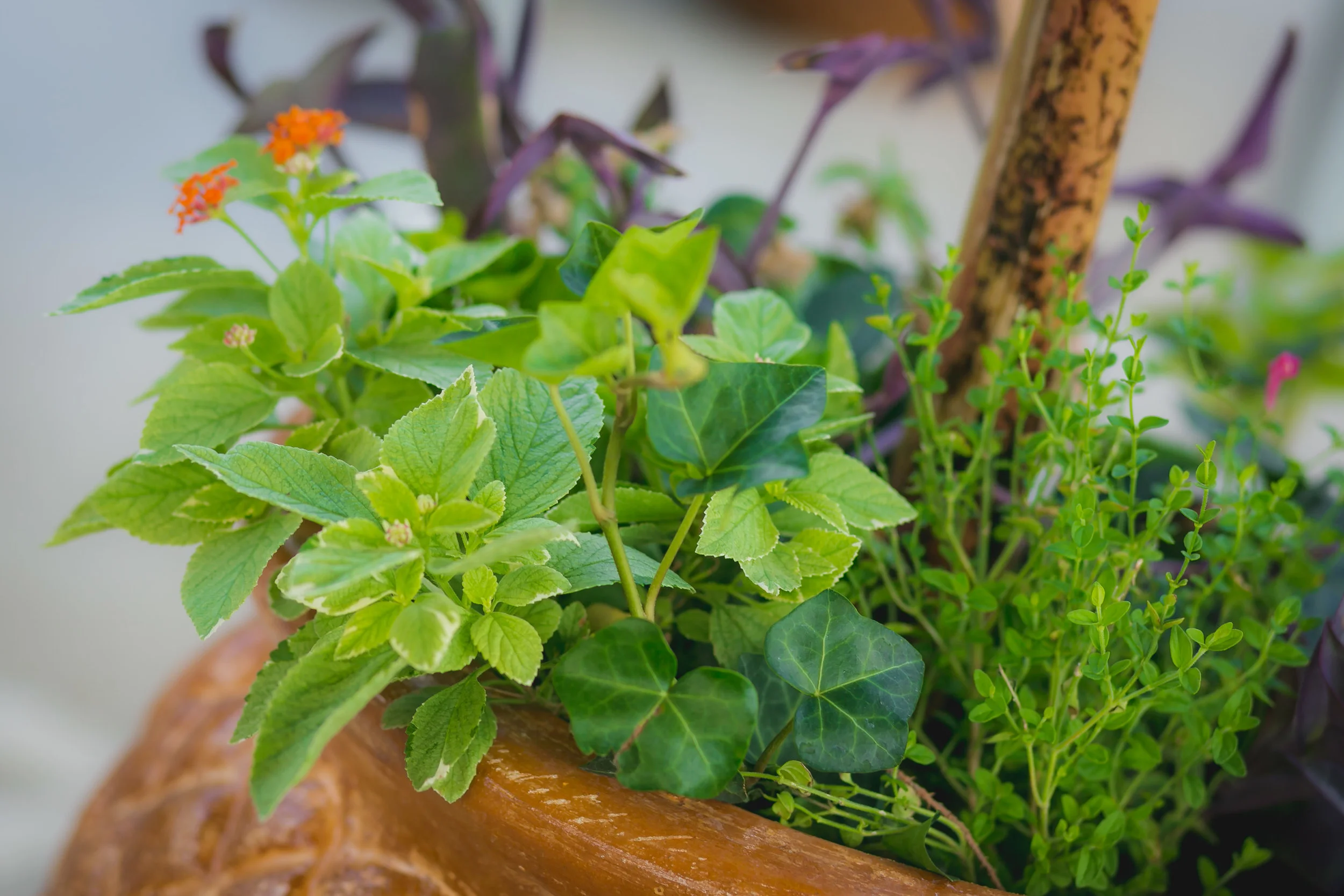 Testimonials — Gary's Pool and Patio