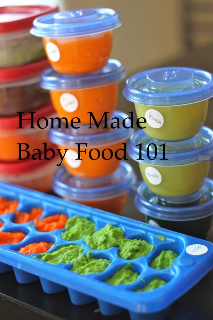 Baby Food 101 Part 2: Where to begin and pureeing in bulk — The Diva Dish