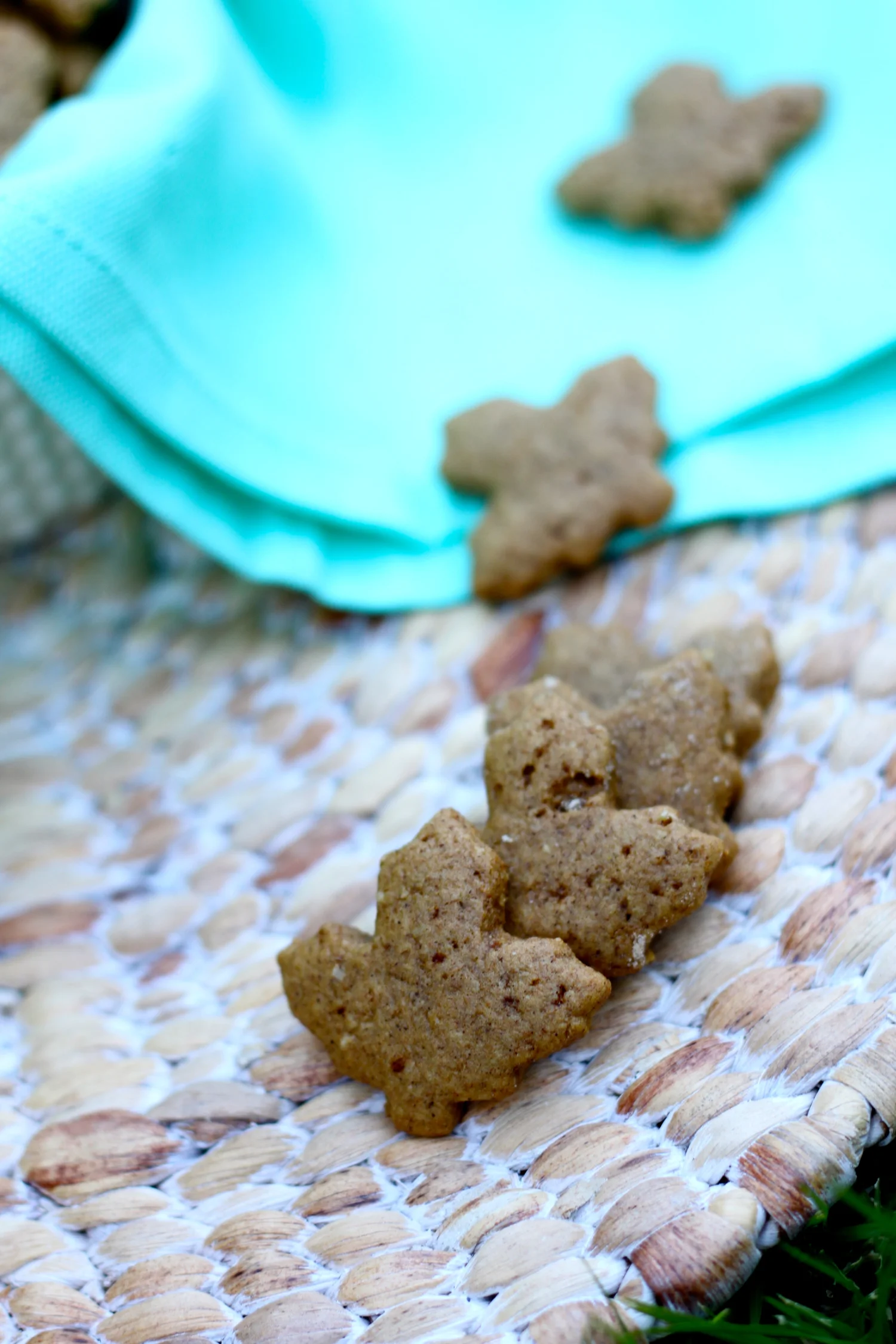 Soft and Chewy Baby Mini Cinnamon Cookies — The Diva Dish