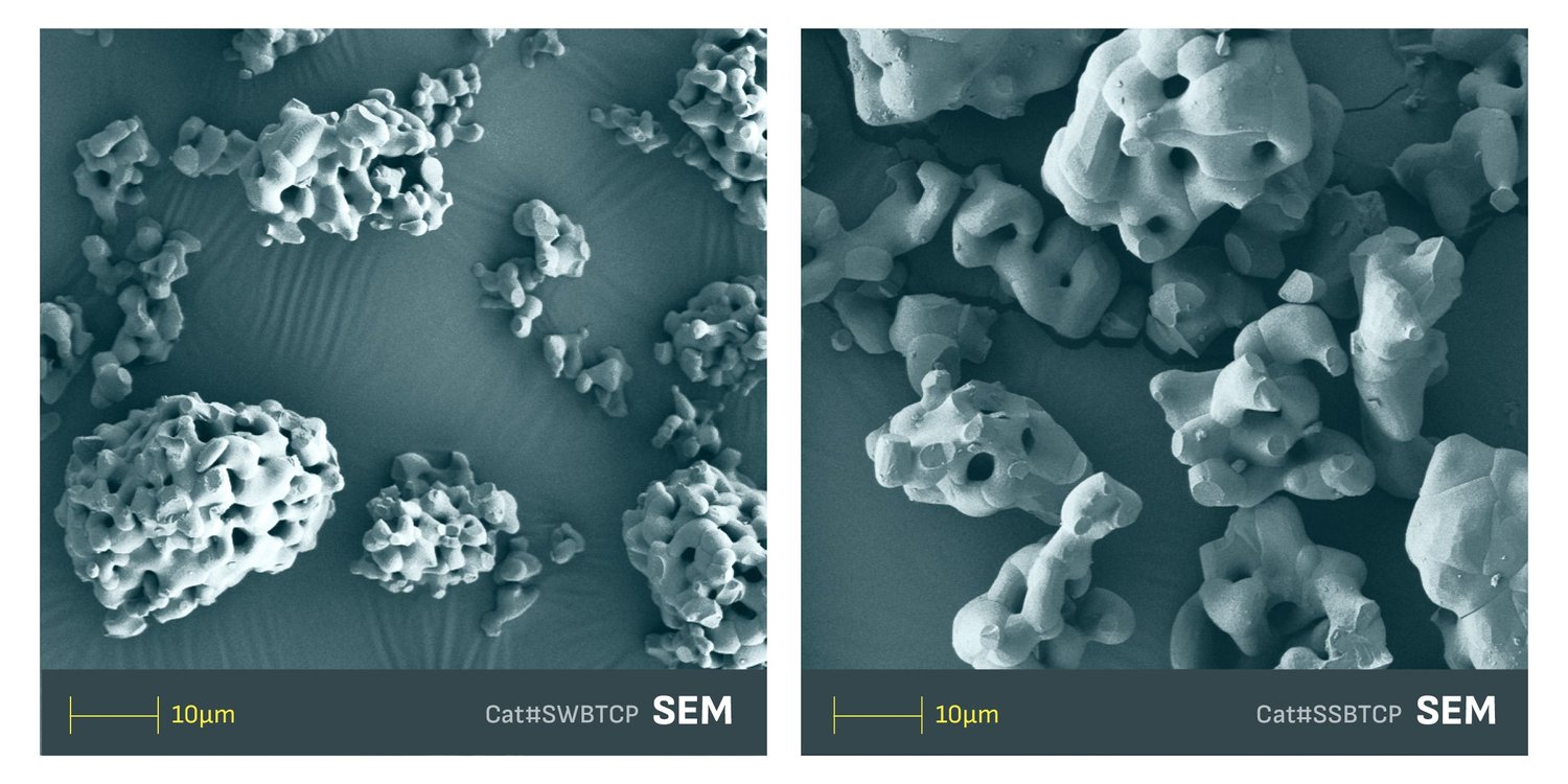 HIMED — Beta-tricalcium phosphate