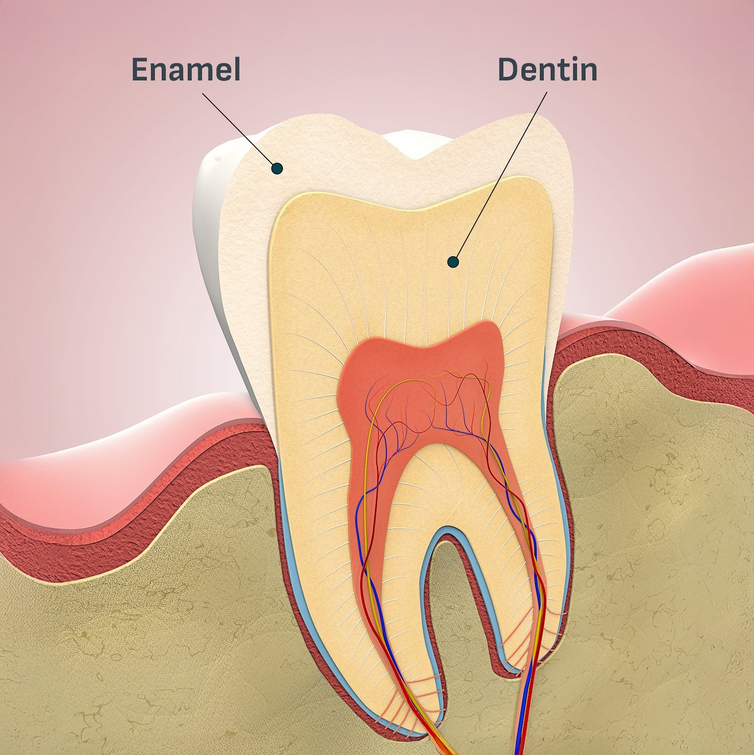 Hydroxyapatite Toothpaste: A Natural Alternative to Fluoride — HIMED