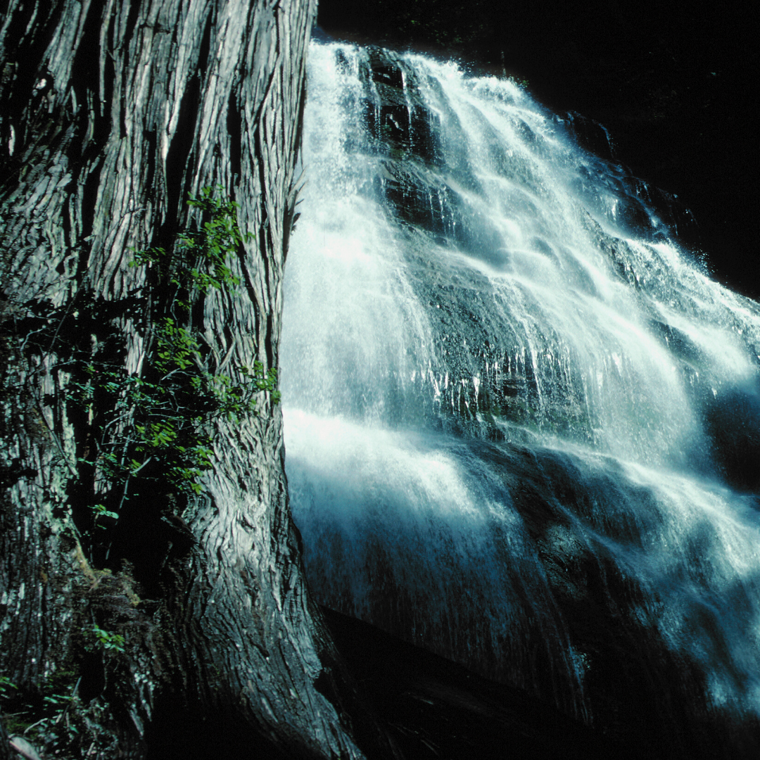 Drink Deeply From the Void: A Simple Practice — Amanda Verdery Young ...