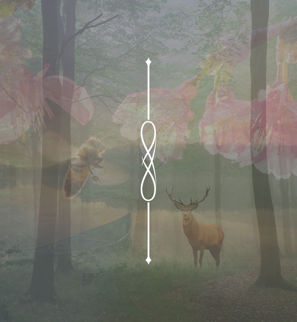 The Wild Becoming Membership — Amanda Verdery Young