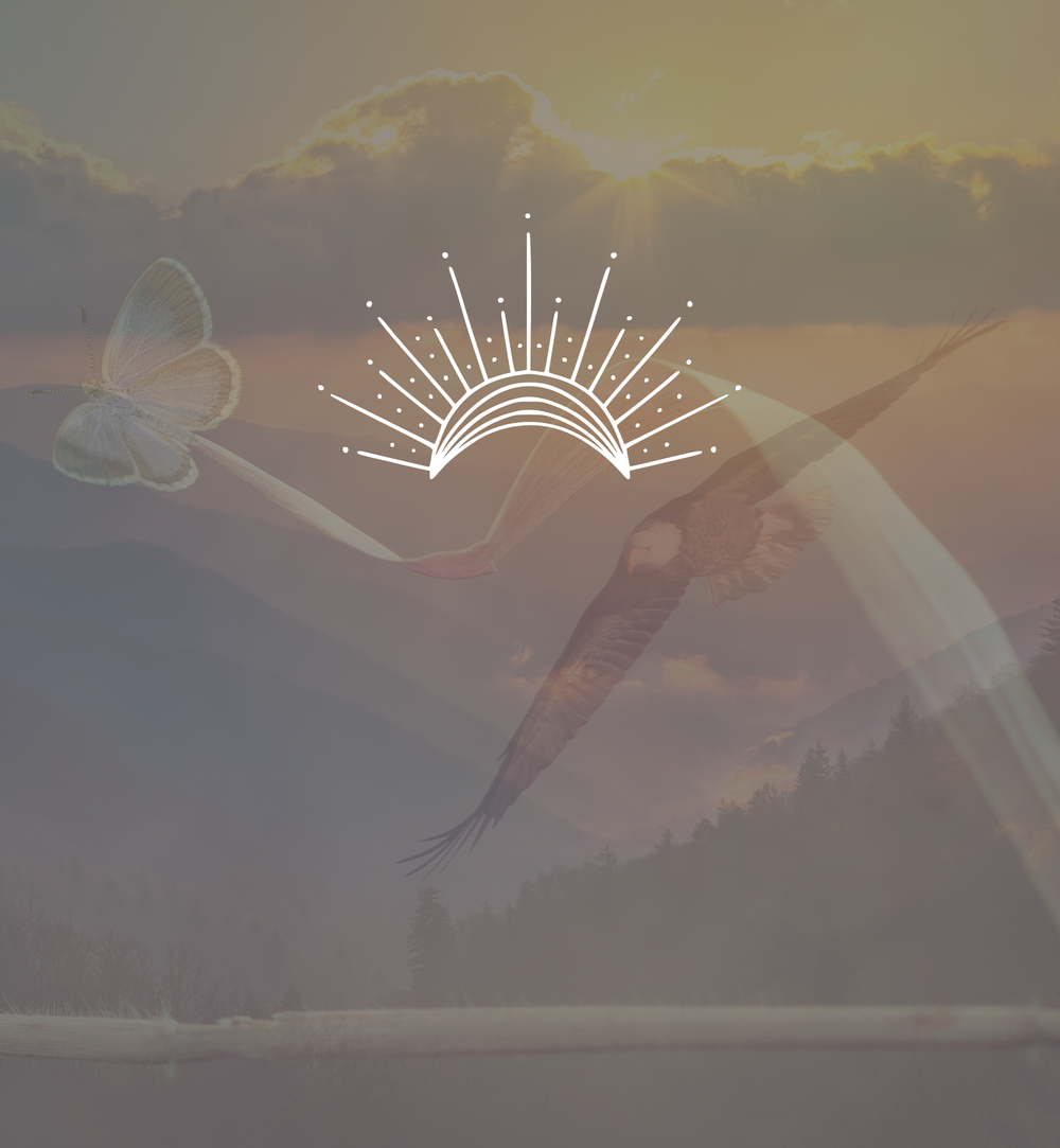 The Wild Becoming Membership — Amanda Verdery Young