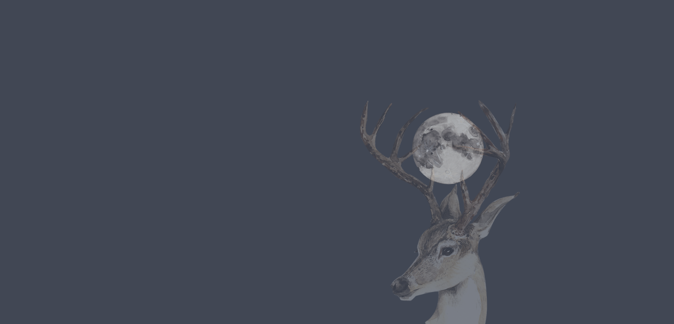 ABOUT — Amanda Verdery Young