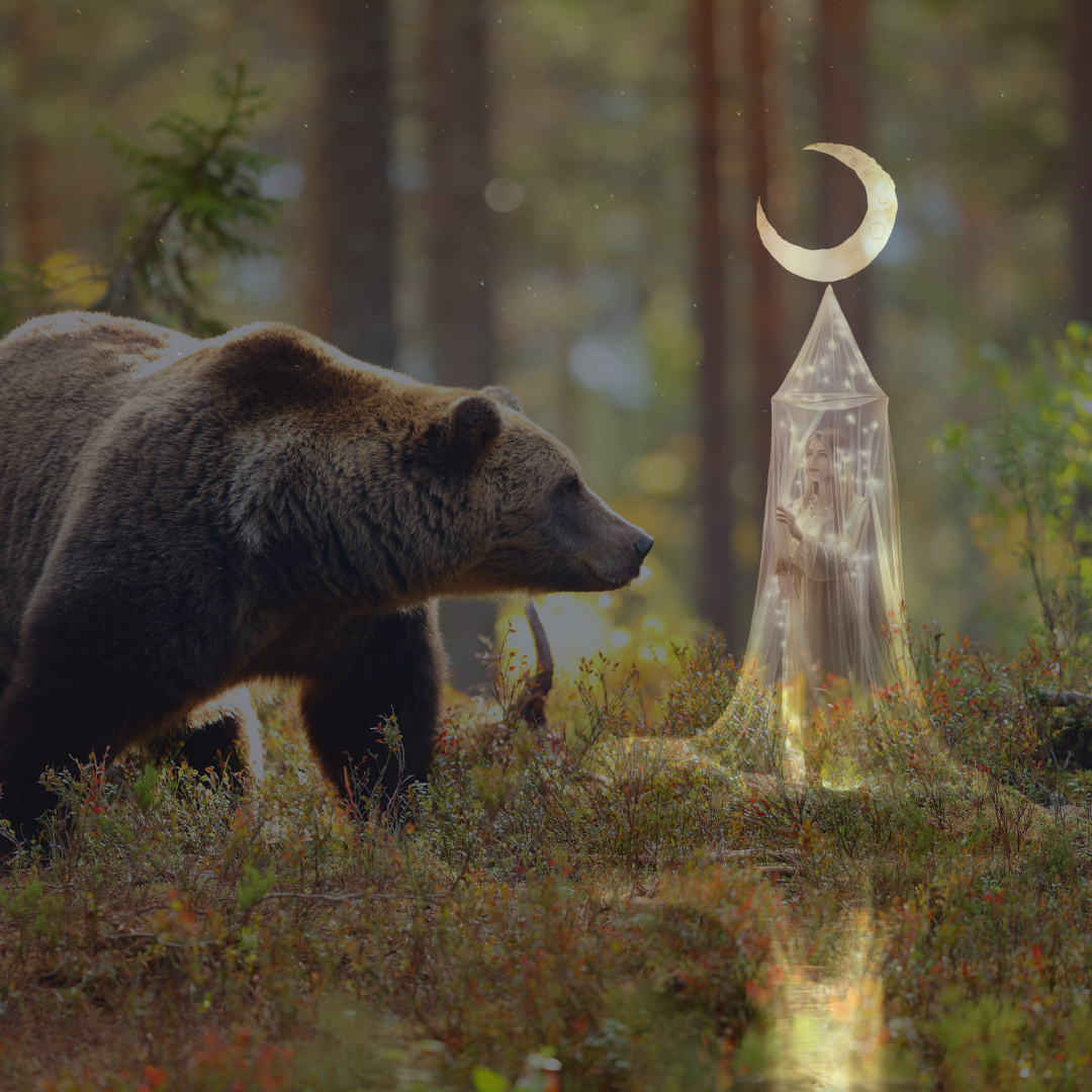 On the Fear of Being Seen — Amanda Verdery Young