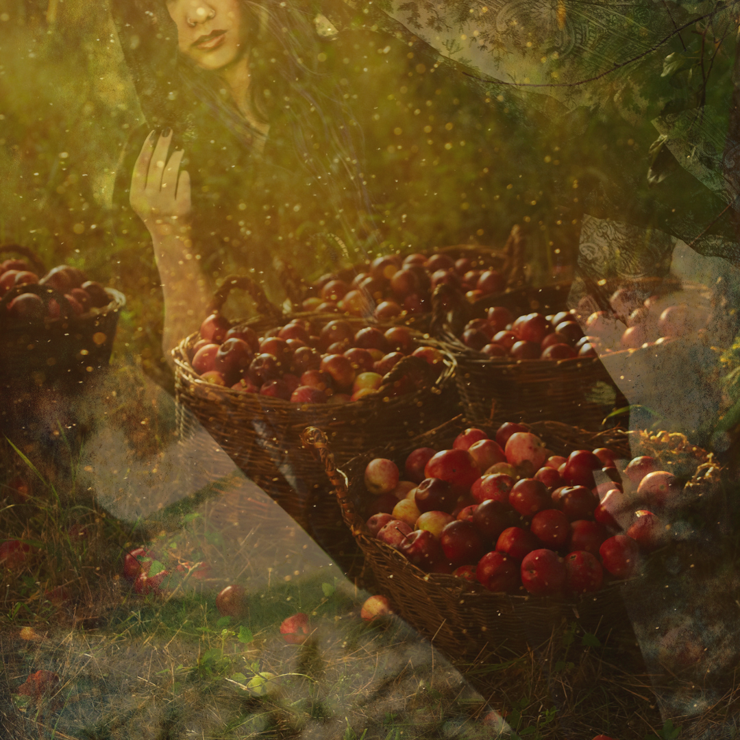 The Art of Being With (vs. Processing): Part II — Amanda Verdery Young