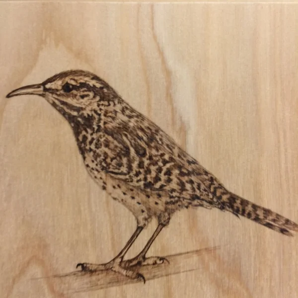 phICA - Phoenix: A Creative Oasis