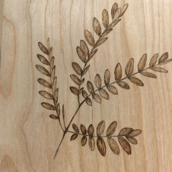 phICA - Phoenix: A Creative Oasis