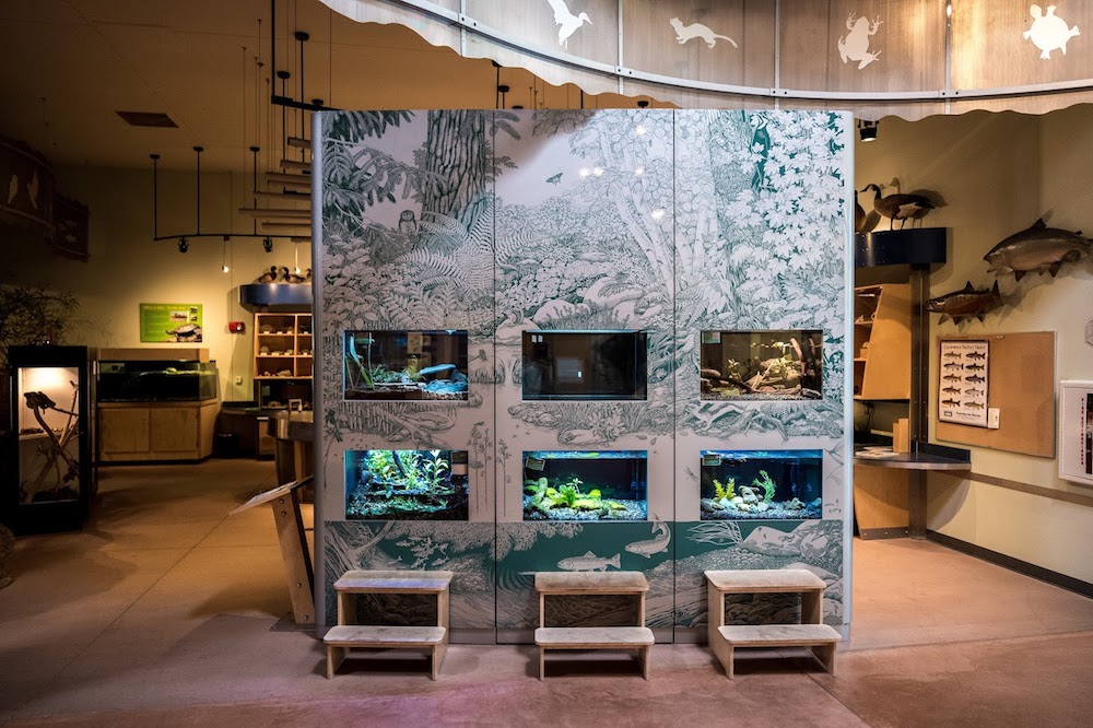 MUSEUM INFO — Turtle Bay