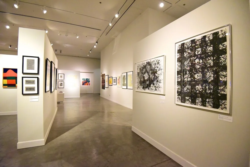 MUSEUM INFO — Turtle Bay