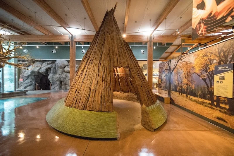 MUSEUM INFO — Turtle Bay