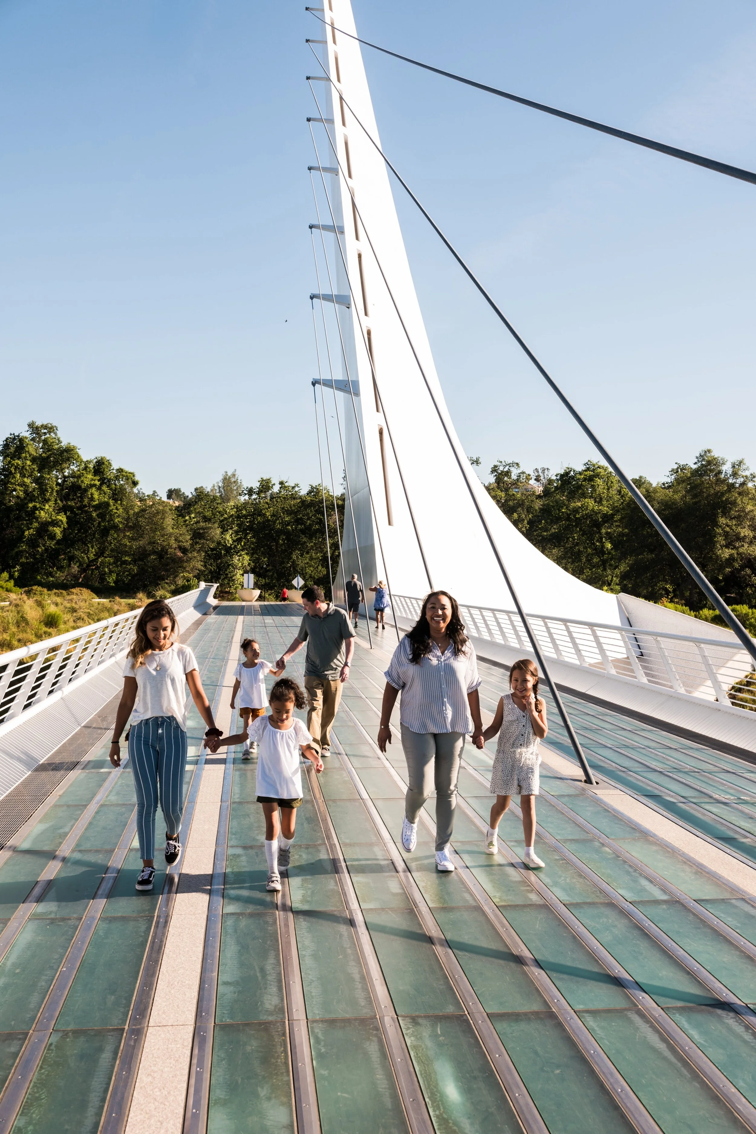 Dam to Bridge Exhibition — Turtle Bay