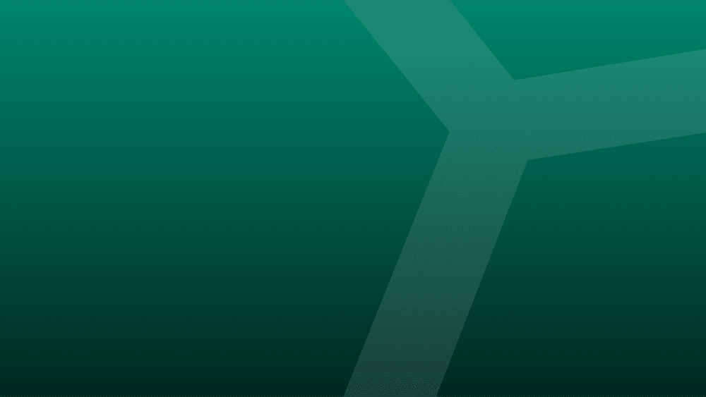 About Turtle Bay — Turtle Bay