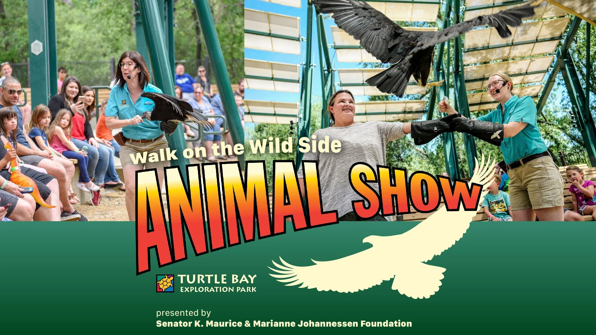 Events — Turtle Bay