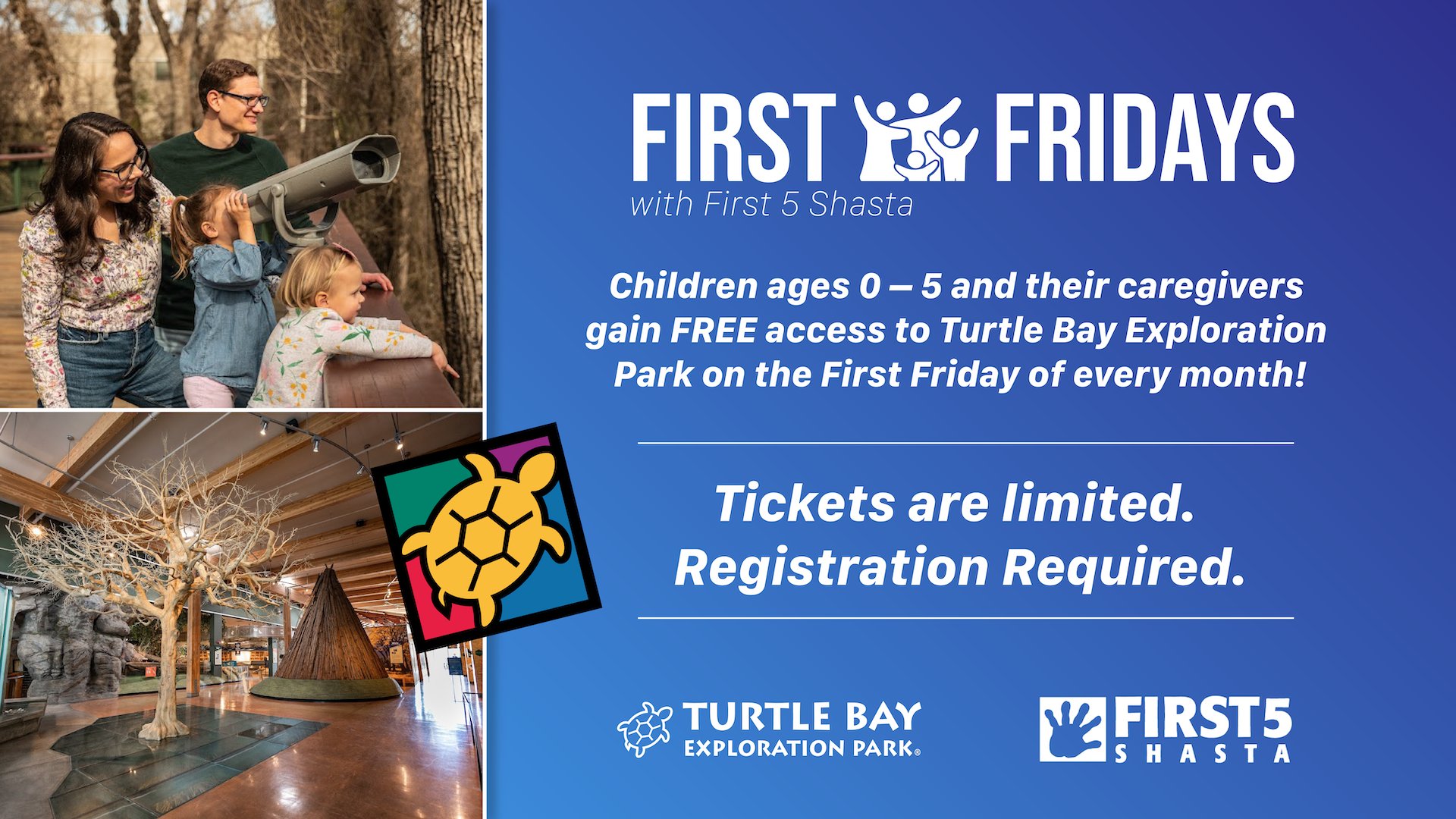 First Fridays — Turtle Bay