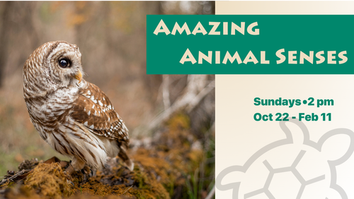 Animal Exhibits & Programs — Turtle Bay