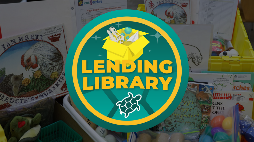 Lending Library — Turtle Bay