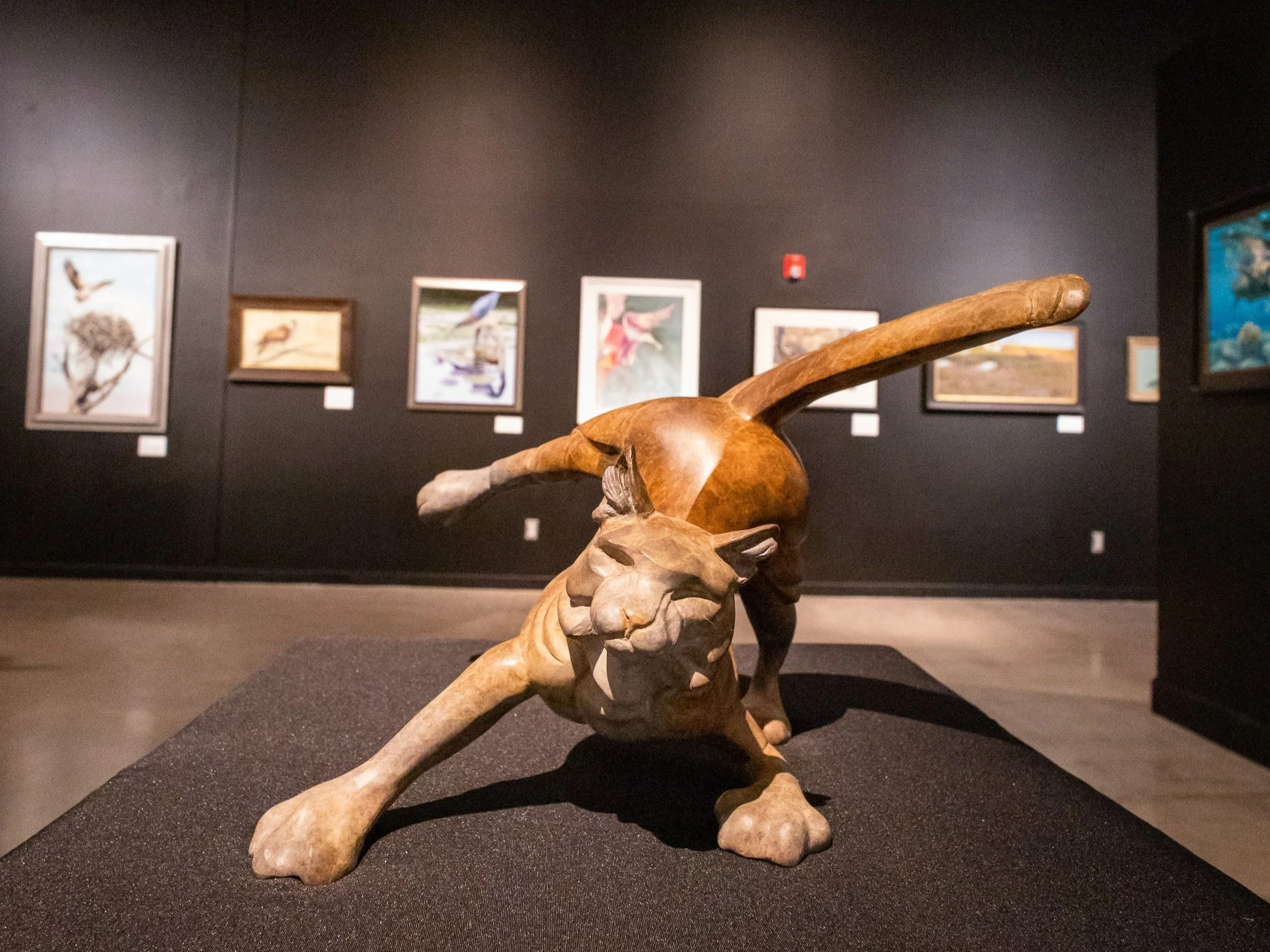 Art and the Animal by the Society of Animal Artists — Turtle Bay