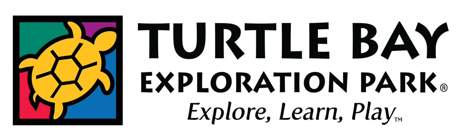 Plan Your Visit — Turtle Bay