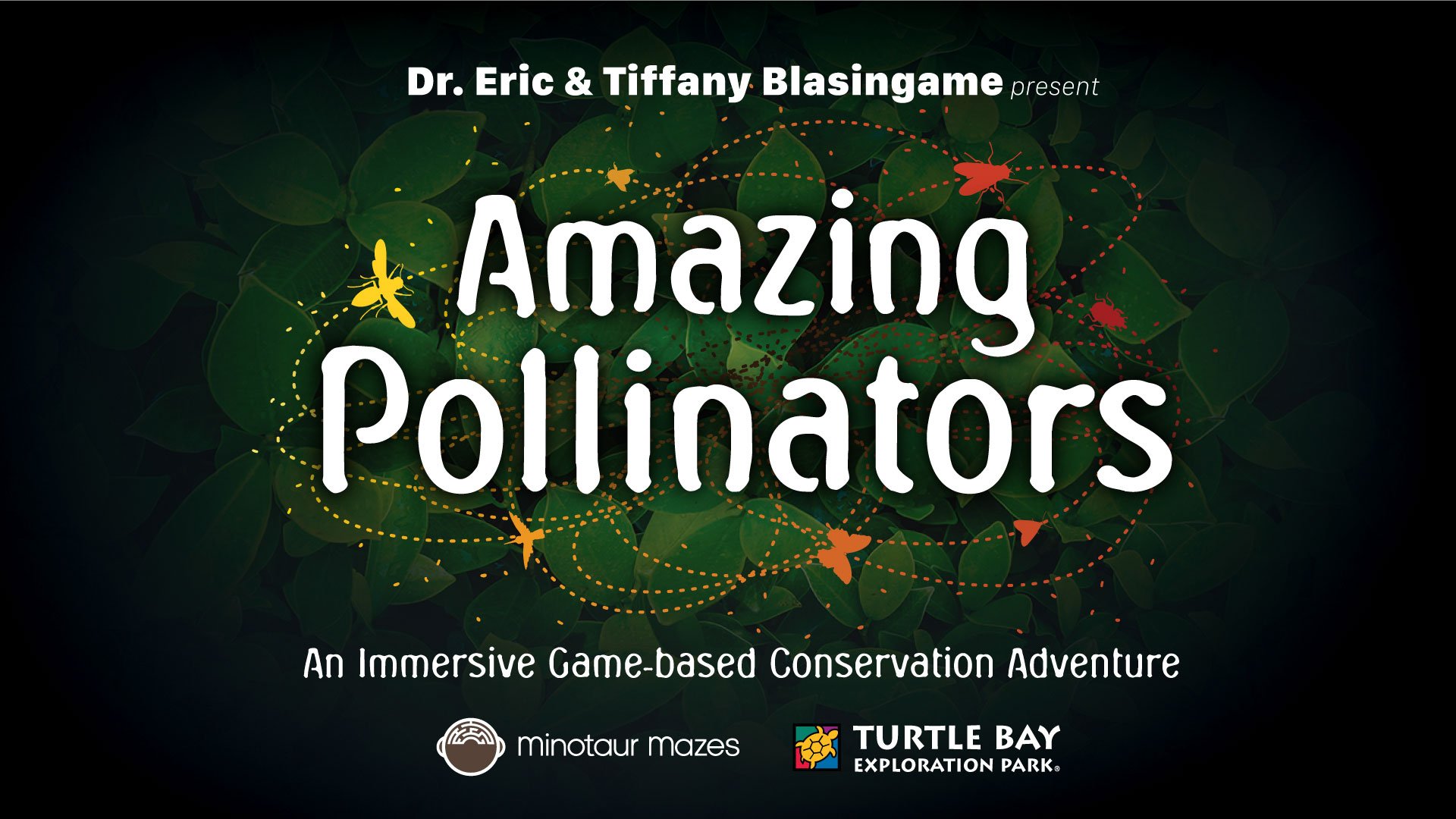 Amazing Pollinators — Turtle Bay
