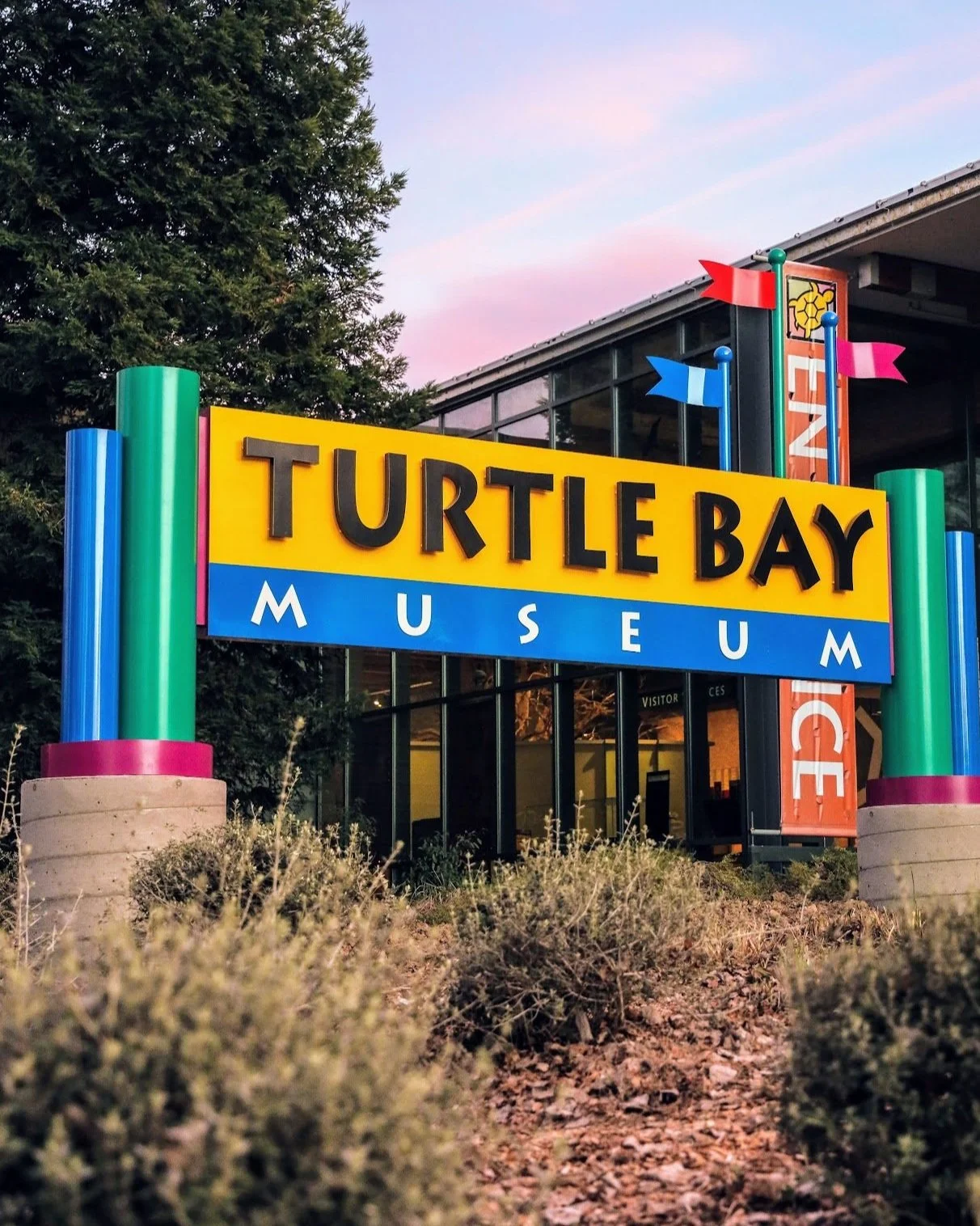 International Museum Day at Turtle Bay — Turtle Bay