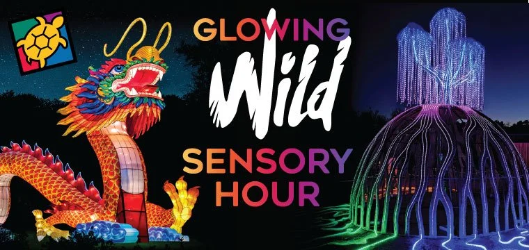 Sensory Hour — Turtle Bay