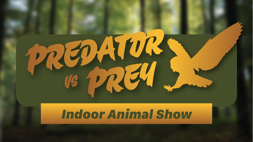 Animal Exhibits & Programs — Turtle Bay