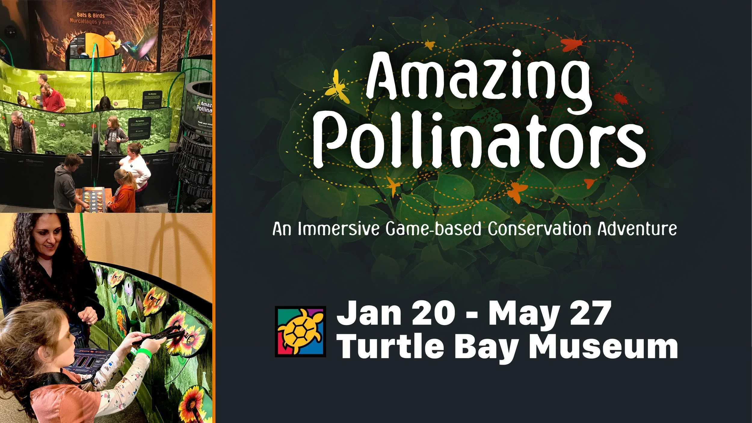 Amazing Pollinators — Turtle Bay