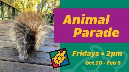 Animal Exhibits & Programs — Turtle Bay