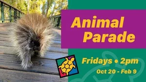 Animal Exhibits & Programs — Turtle Bay